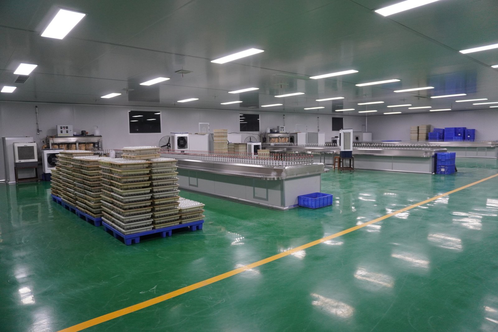 About Li Li - Xuminpackaging